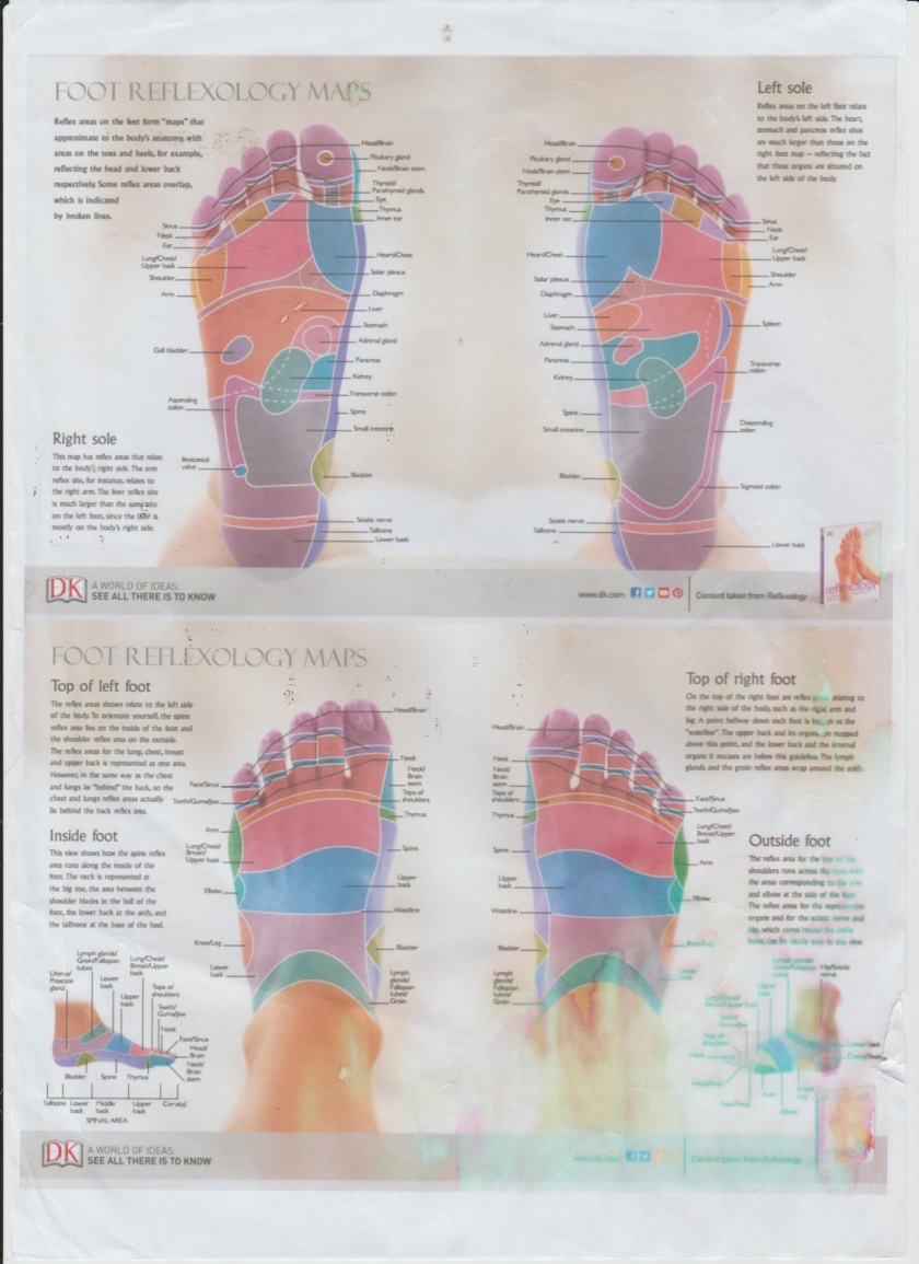 Feet a very important part of our anatomy – NuLifeWellness